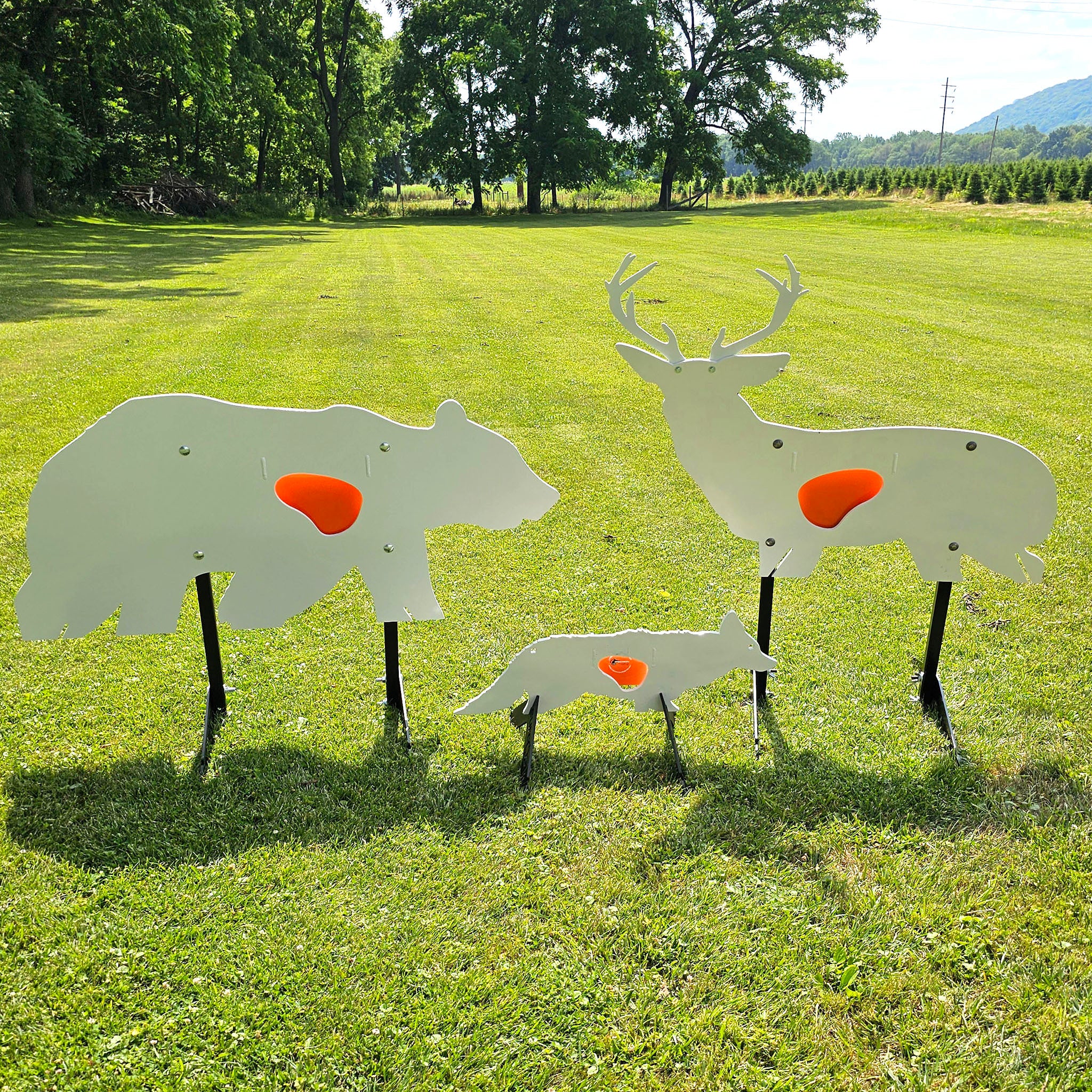 Collections – Precision Targets