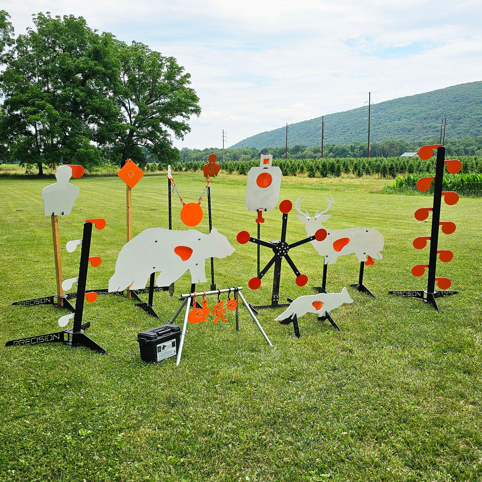 Reactive Targets – Precision Targets