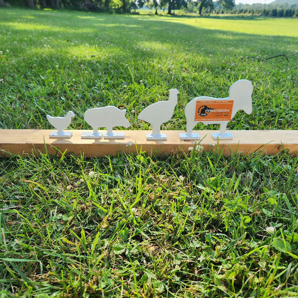 Collections – Precision Targets